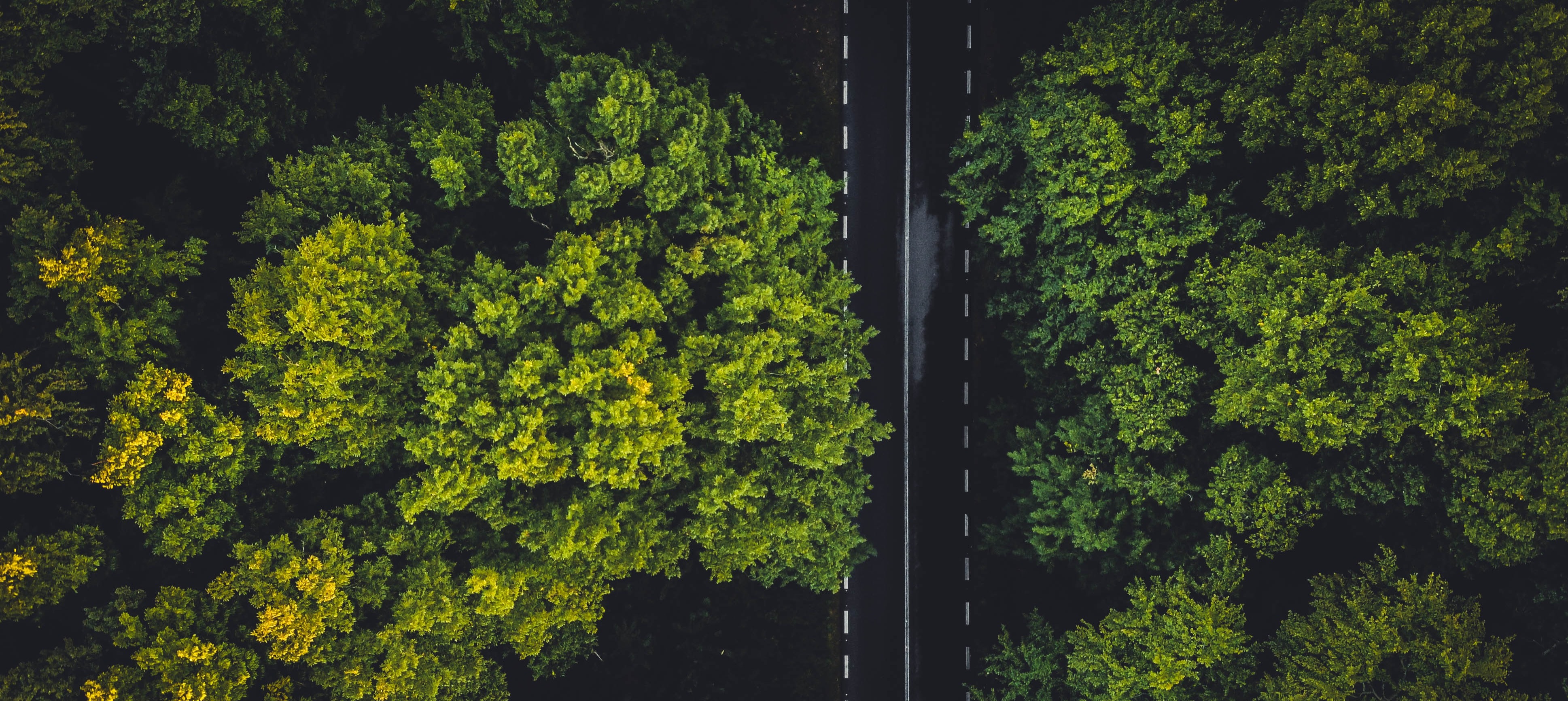 Let’s energise sustainability | NNWI Let’s energise sustainability | NNWI
